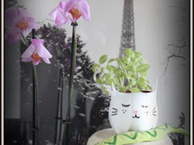 Idées et tutos de Chat sur Mon atelier récréation